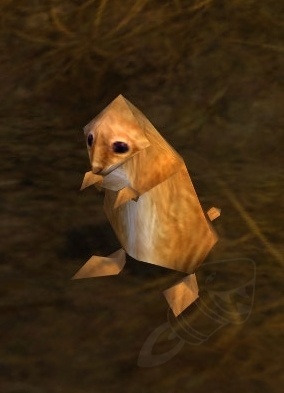 Plump Marmot - NPC - World of Warcraft