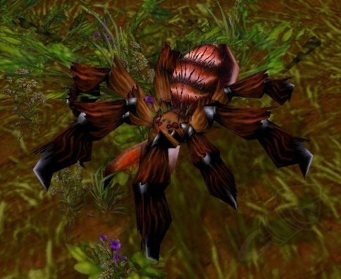 Chitter - NPC - Mists of Pandaria Classic