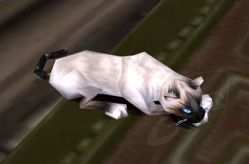 Vivaracho - PNJ - World of Warcraft