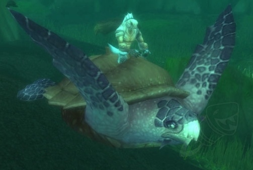 Glasseye Turtle - NPC - Mists of Pandaria Classic
