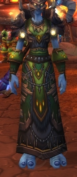 Cataclysmic Gladiator's Wyrmhide Robes - Item - World of Warcraft