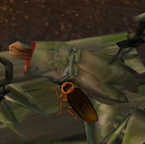 Cockroach - Item - Cataclysm Classic