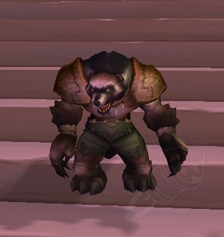 Little Orphan Kekek Of The Wolvar - Quest - Mists of Pandaria Classic