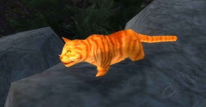 Grandma's Cat - Quest - Cataclysm Classic