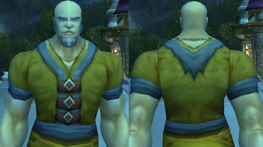 Bright Armor - Item - Mists of Pandaria Classic