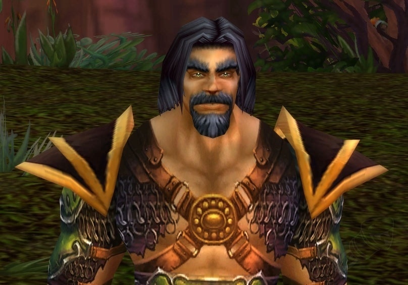 Pattern: Windbound Shoulders - Item - World of Warcraft