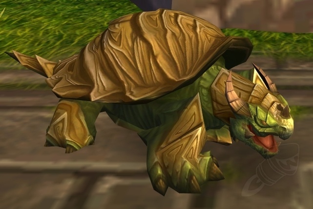 Tortue dos rond - PNJ - [Mists of Pandaria Classic]