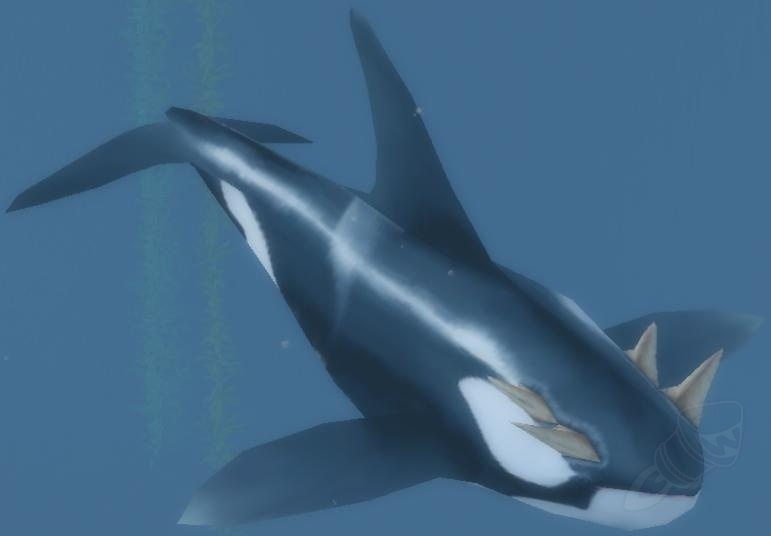 Glimmer Bay Orca - NPC - Cataclysm Classic
