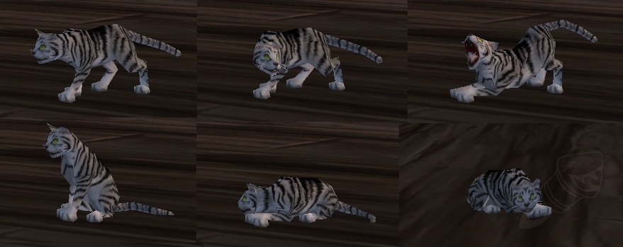 Cat Carrier (Silver Tabby) - Item - Cataclysm Classic