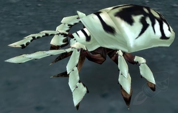 Innocuous Scarab - NPC - Mists of Pandaria Classic