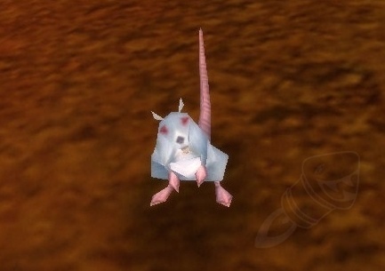Whiskers the Rat - Spell - Cataclysm Classic