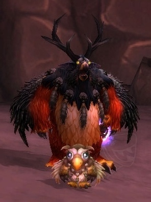 Moonkin Hatchling - Spell - Cataclysm Classic