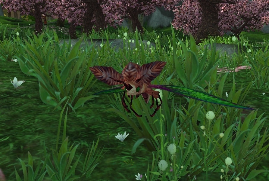 Garden Moth - NPC - World of Warcraft