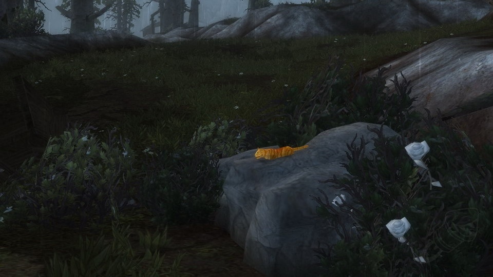 Chance the Cat - Item - Cataclysm Classic