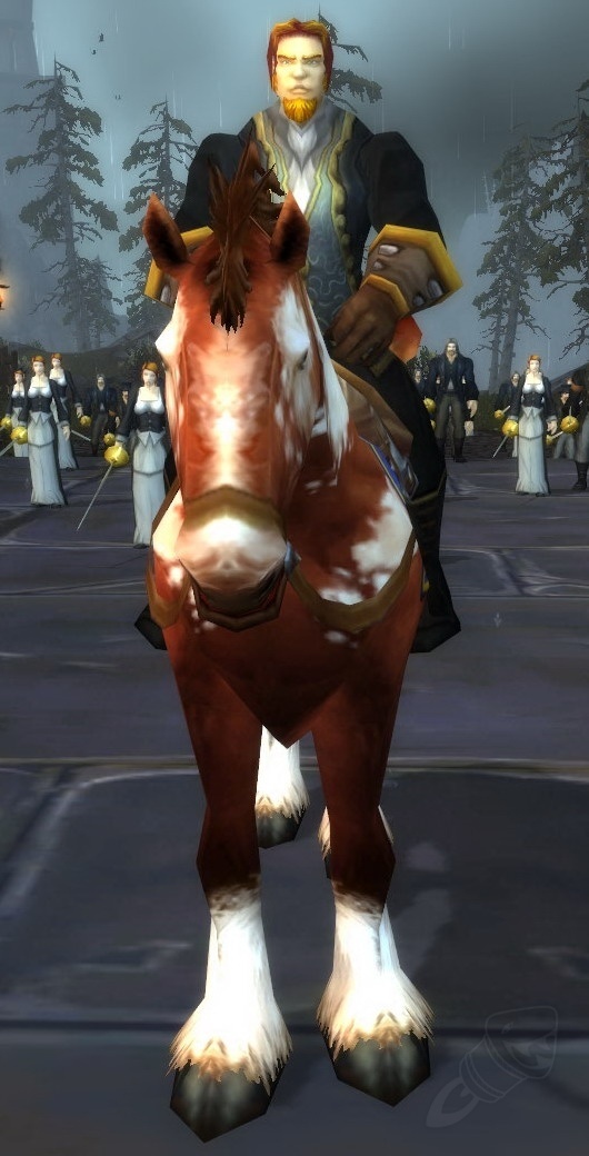Prince Liam Greymane Npc Cataclysm Classic