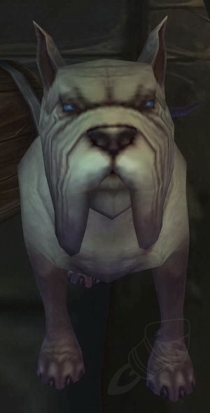 Baron - NPC - Cataclysm Classic