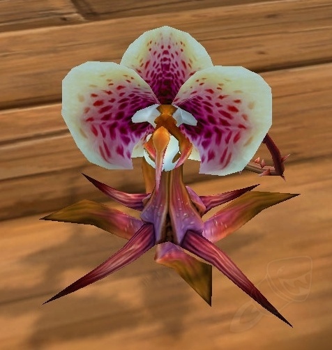 Ammen Vale Lashling - Item - Cataclysm Classic