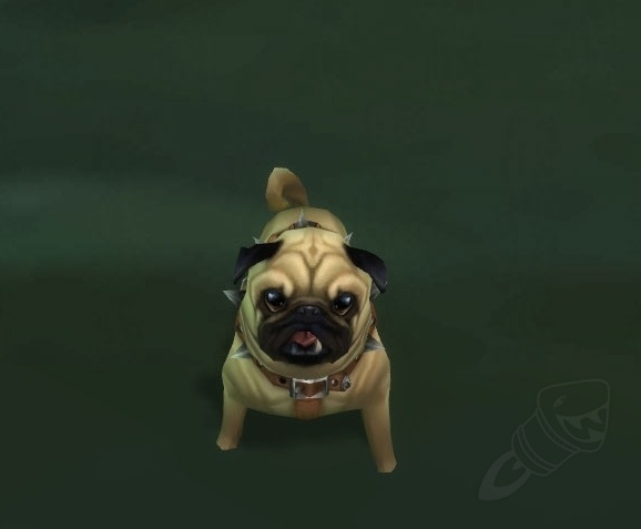 Perky Pug - Item - Cataclysm Classic