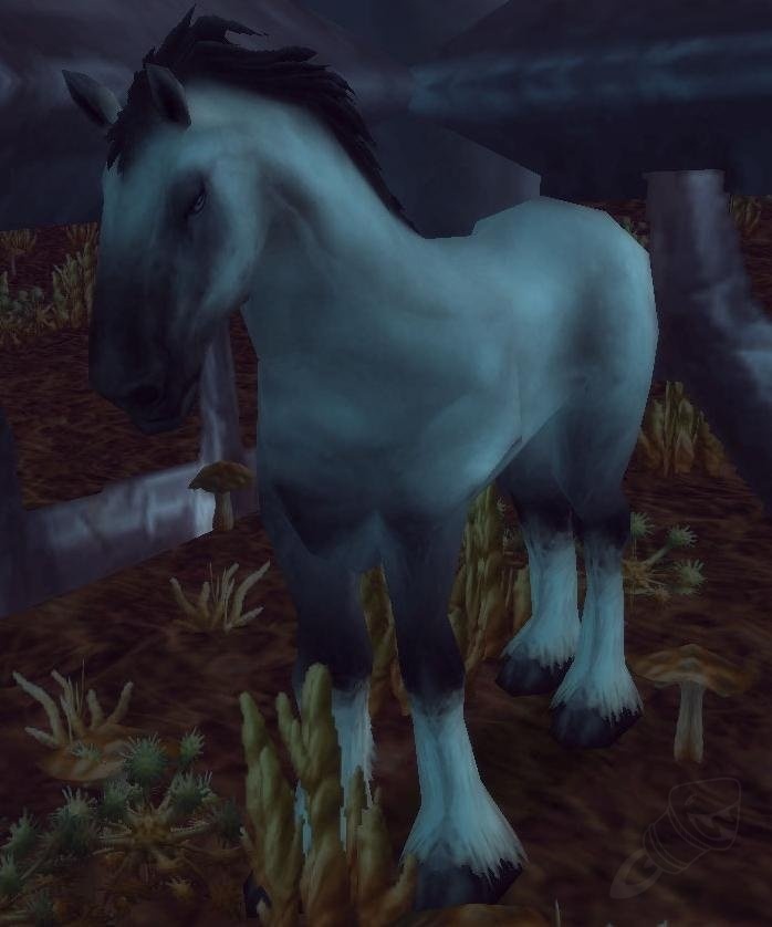 Captured Stallion - NPC - Classic World of Warcraft