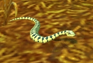 Zooey Snake - NPC - World of Warcraft