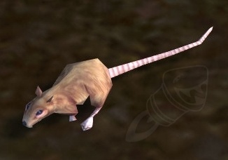 Prairie Mouse - NPC - Mists of Pandaria Classic