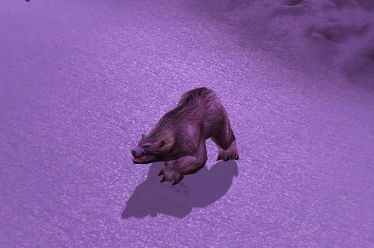 Bear Flank - Item - World of Warcraft