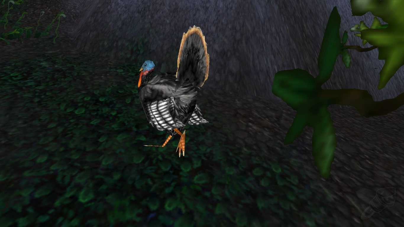 Индюшка нагорья - NPC - Cataclysm Classic