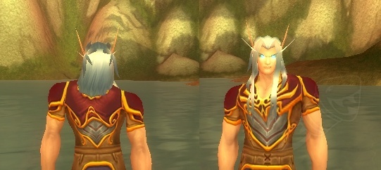 Bonechewer Chestpiece - Item - Cataclysm Classic