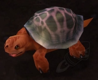 Darkmoon Turtle - Item - Cataclysm Classic