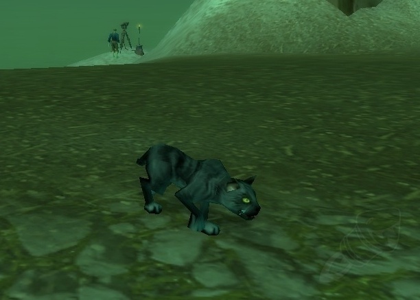 Rocky - NPC - Cataclysm Classic