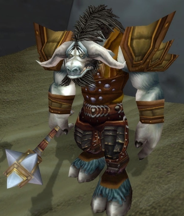 [Warden Haro] - PNJ - [Cataclysm Classic]