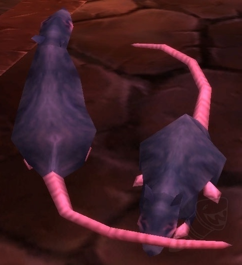 Giant Sewer Rat - Item - Cataclysm Classic