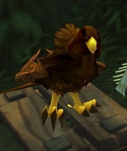 Training Hawk - NPC - World of Warcraft