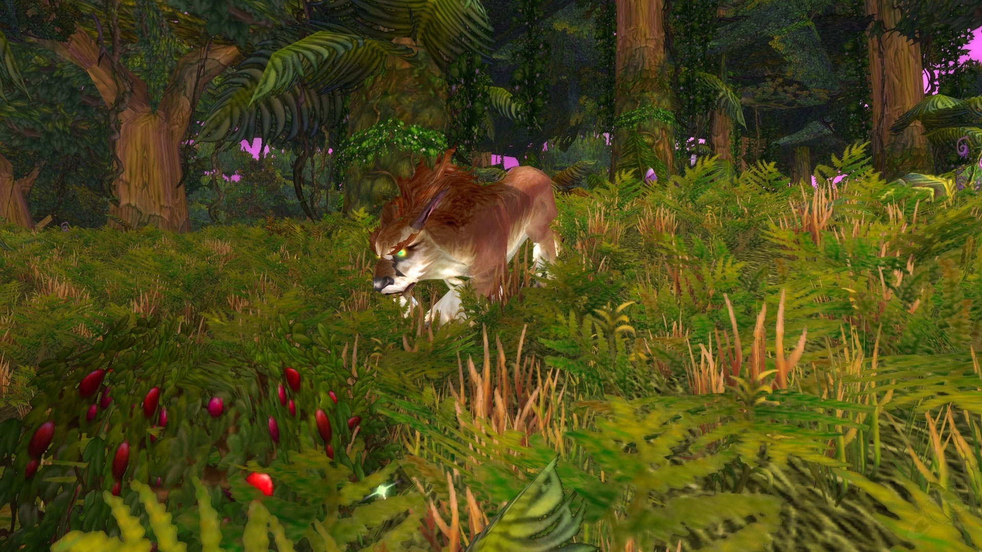 Keeping Up Appearances - Quest - World of Warcraft