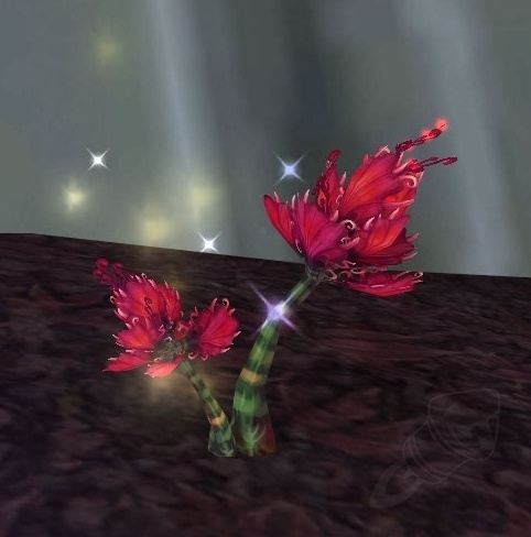 Talandra's Rose - Item - Cataclysm Classic