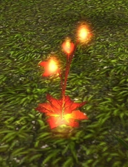 Cinderbloom - Item - Cataclysm Classic