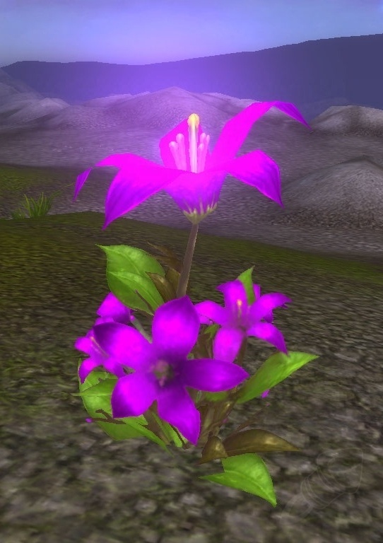 Twilight Jasmine - Item - World of Warcraft Twilight Jasmine - Item - World of Warcraft