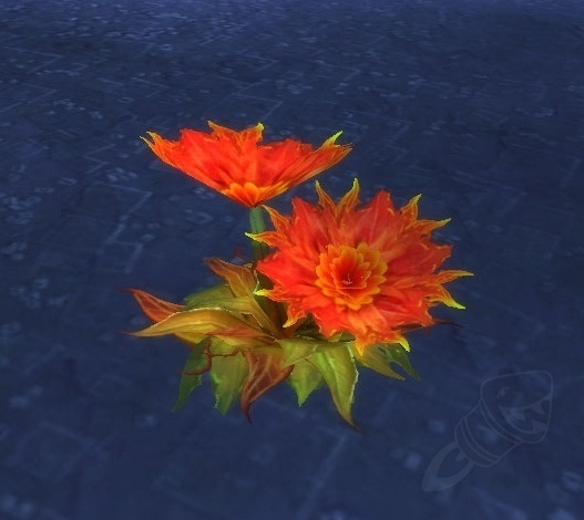 Flor de corazón - Objeto - [Cataclysm Classic]