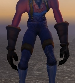 Hands of the Exalted Herald - Item - World of Warcraft