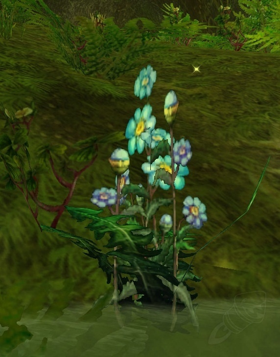 Blindweed - Object - Cataclysm Classic