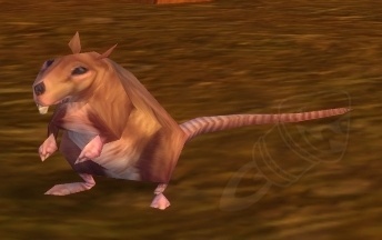Stormwind Rat - NPC - Cataclysm Classic