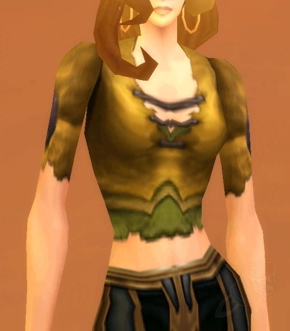 고급 가죽 튜닉 - 아이템 - 대격변 클래식