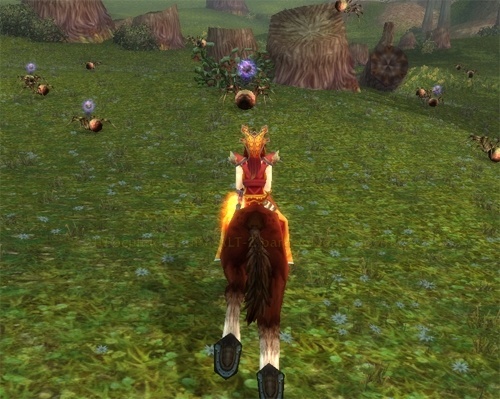 Learning the Ropes - Quest - Cataclysm Classic