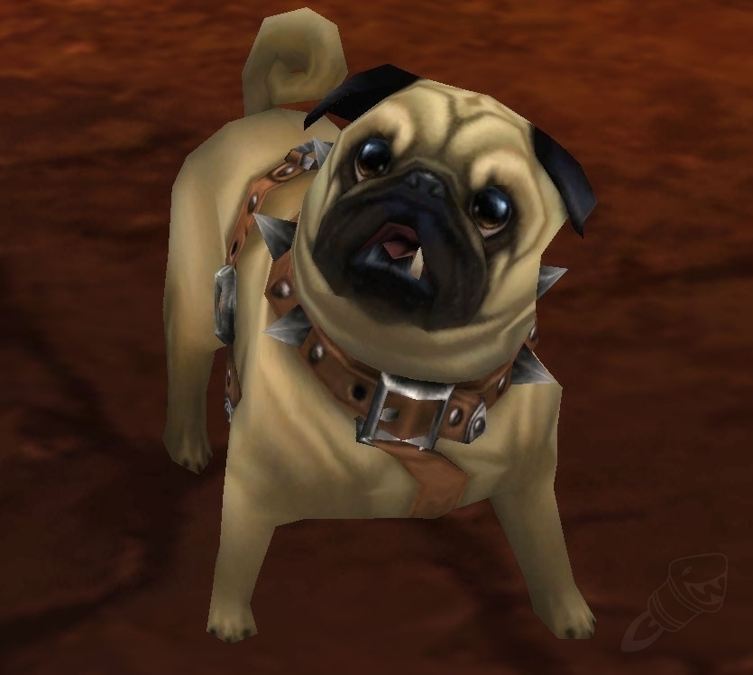 Perrito faldero - PNJ - World of Warcraft
