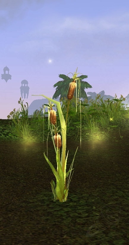 Whiptail - Object - Cataclysm Classic