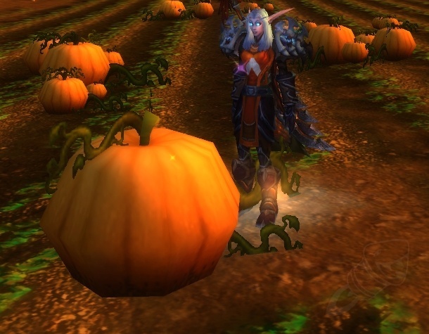 Stormwind Pumpkin - Item - Cataclysm Classic