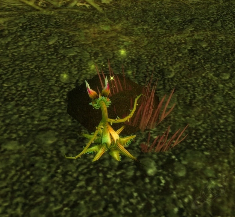 Seeking Soil - Quest - World of Warcraft