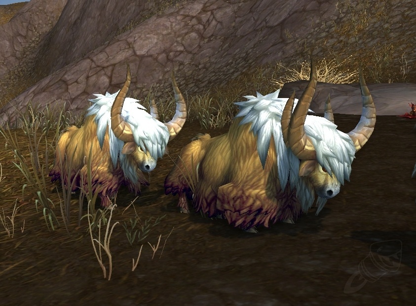 Young Mountain Yak - NPC - World of Warcraft