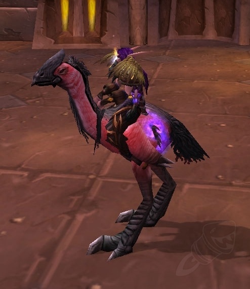 Swift Lovebird - Spell - Cataclysm Classic