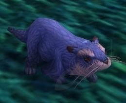 Mongoose - NPC - Mists of Pandaria Classic